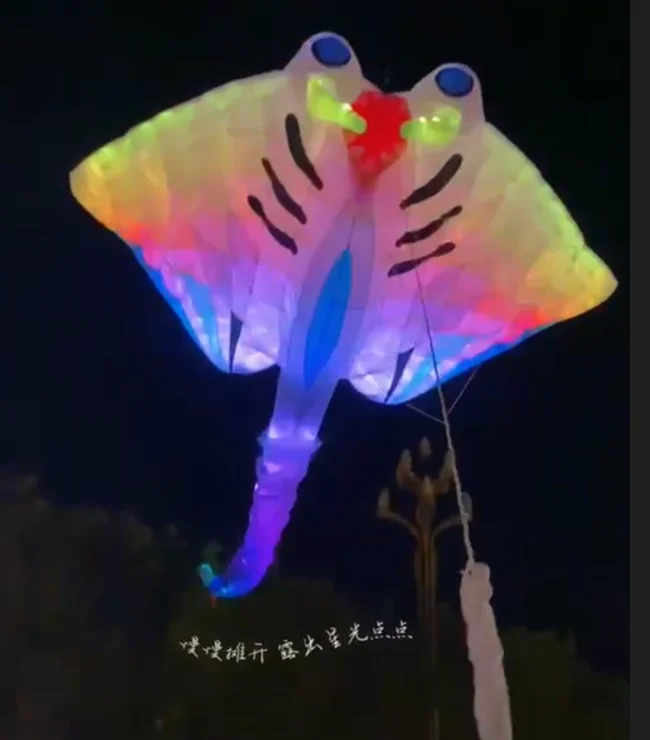 ray-fish-Kite-windsock-outdoor-toys-led-kite-rainbow-kite-games ...