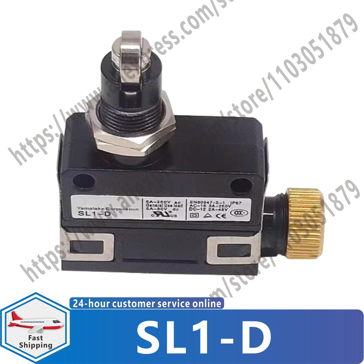 SL1-D-SL1-P-SL1-H-SL1-E-SL1-B-Micro-Switch-Limit-Switch.jpg