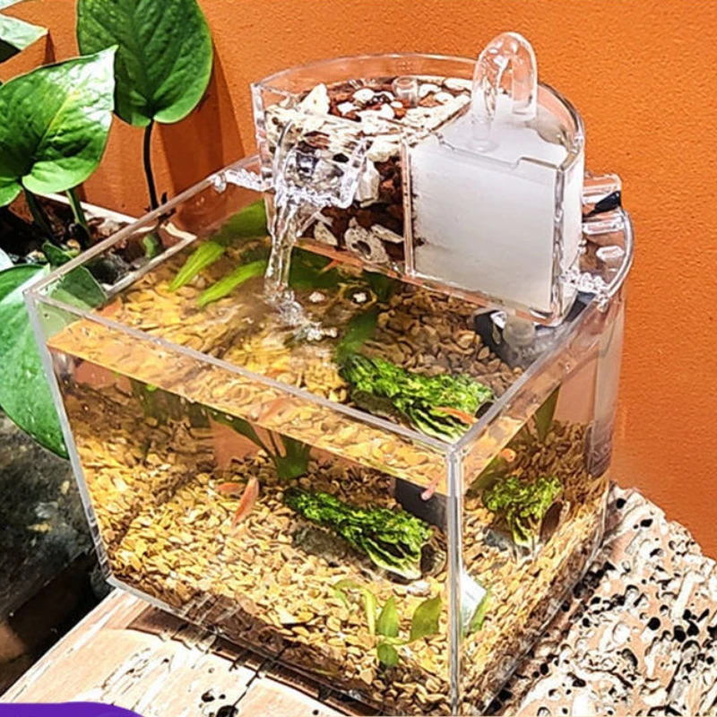Mini-Aquarium-Desktop-Fish-Tank-For-Small-Fish-Transparent-Aquarium ...