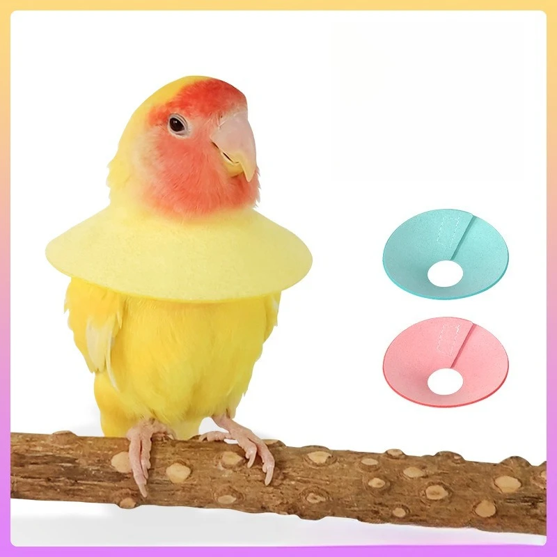 Colorful Soft Bird Collars Breathable Bird Elizabethan Collar ...