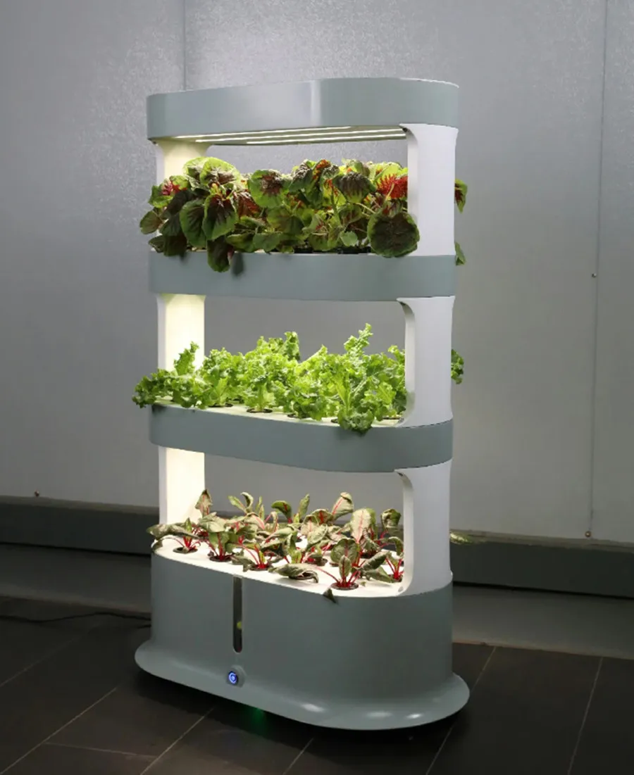 Smart-Hydroponic-Growing-System-Kit-Indoor-Intelligent-Vegetables ...