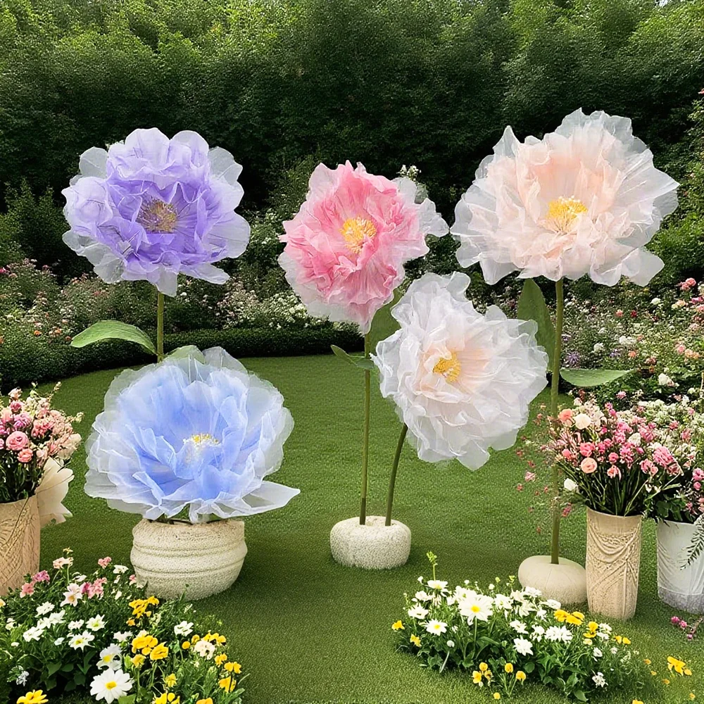 S0a3abf11bdf441cc9863008c8551674fw.png