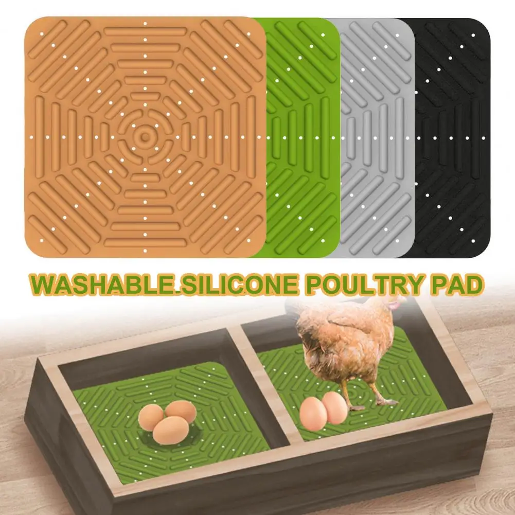 1pcs-Chicken-Egg-Laying-Mat-Waterproof-Mat-Chicken-Cushion-For-Chicken ...