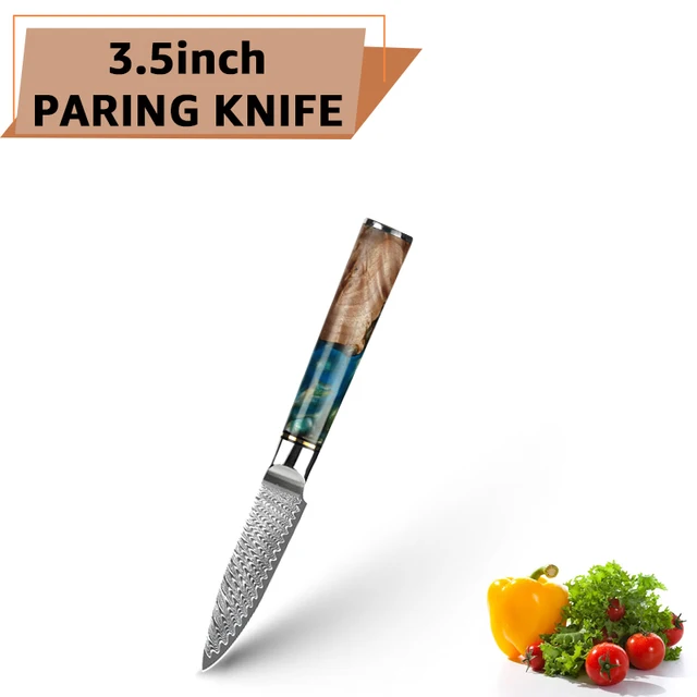 Damascus Steel Kitchen Knives VG10 Chef Paring Bread Knife Chef Knife ...