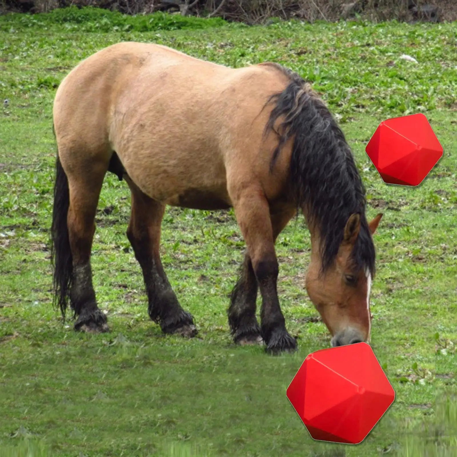 Horse-Treat-Ball-Equine-Hay-Feeding-Toy-for-Horse-Stable-Stall-Paddock ...