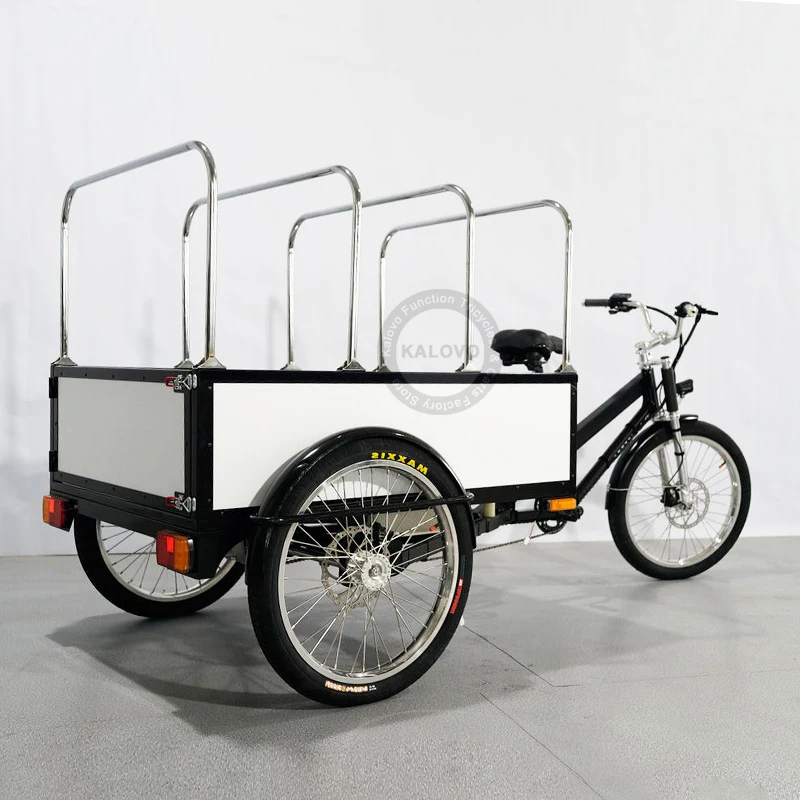 Cargo-Transport-Fiets-Goed-Remsysteem-3-Wielen-Fiets-Cargo-Levering ...