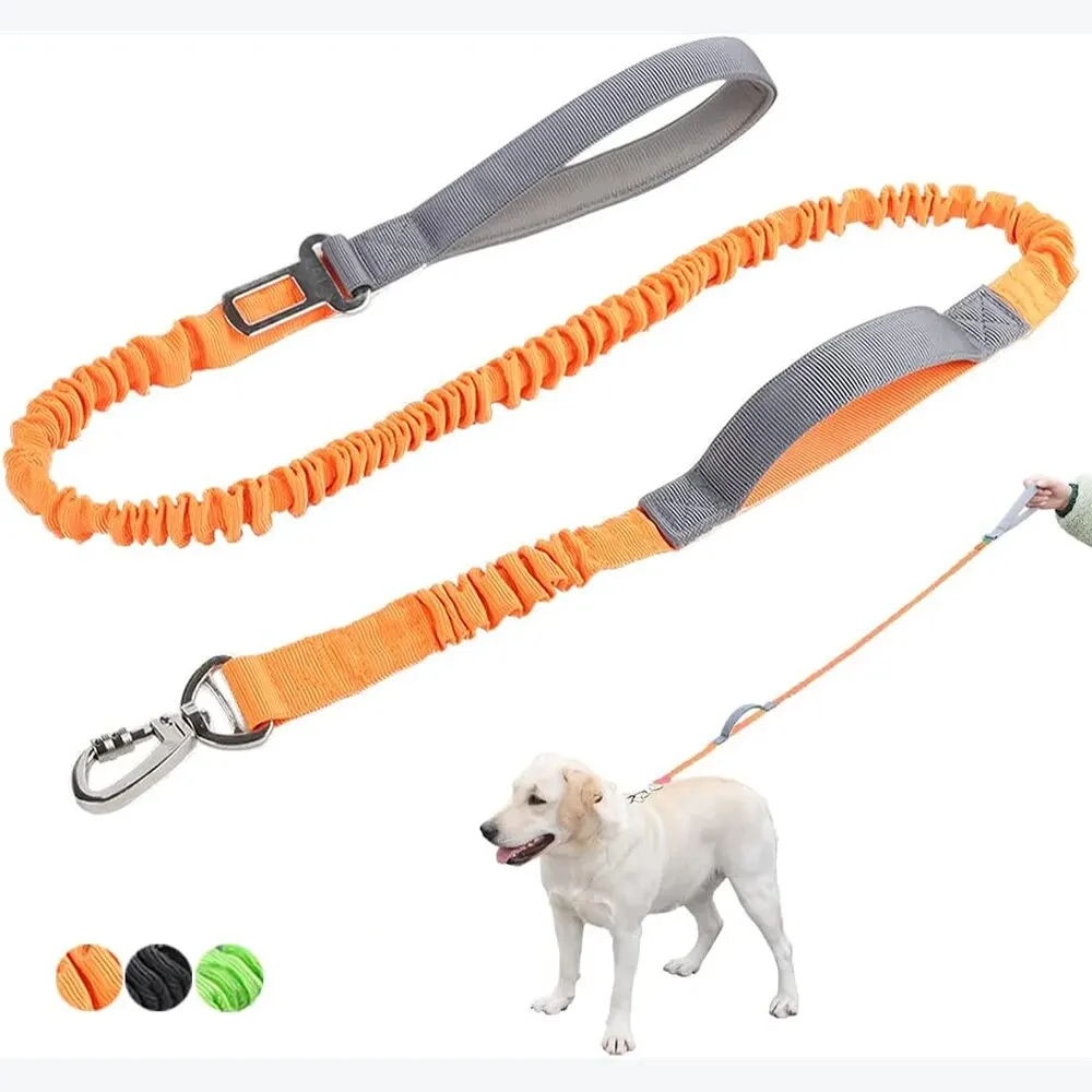 Trela-Do-C-o-De-Nylon-com-Confort-vel-Punho-Acochoado-2-In1-Heavy-Duty ...