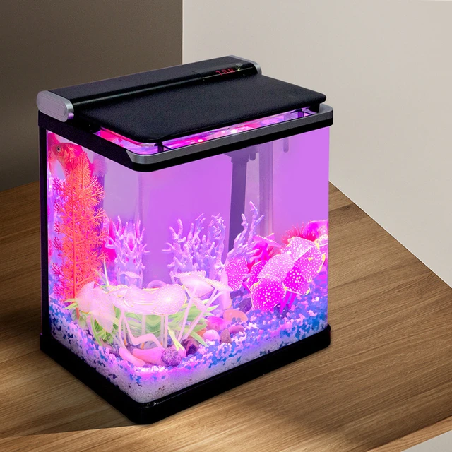 Pink Betta Fish Tank
