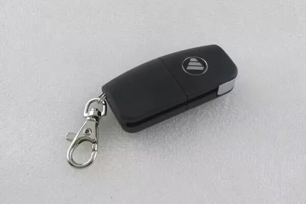 1PCS-Remote-key-for-FOTON-TUNLAND.jpg