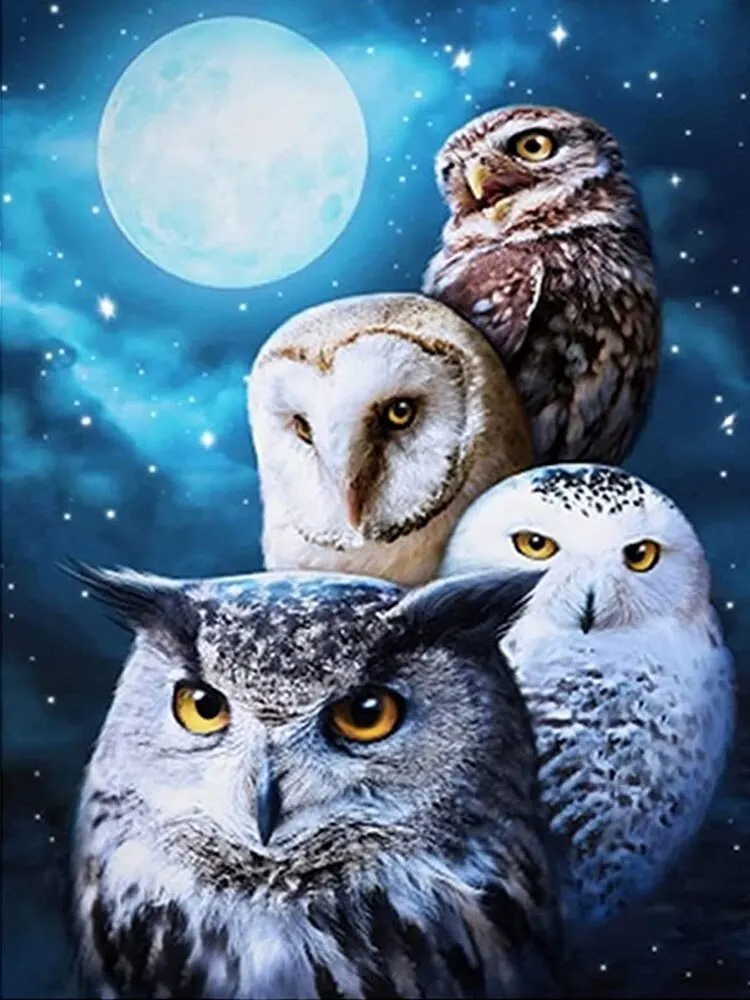 30x40cm-DIY-Painting-By-Numbers-For-Adult-Child-Owl-Animals-Paint-By ...
