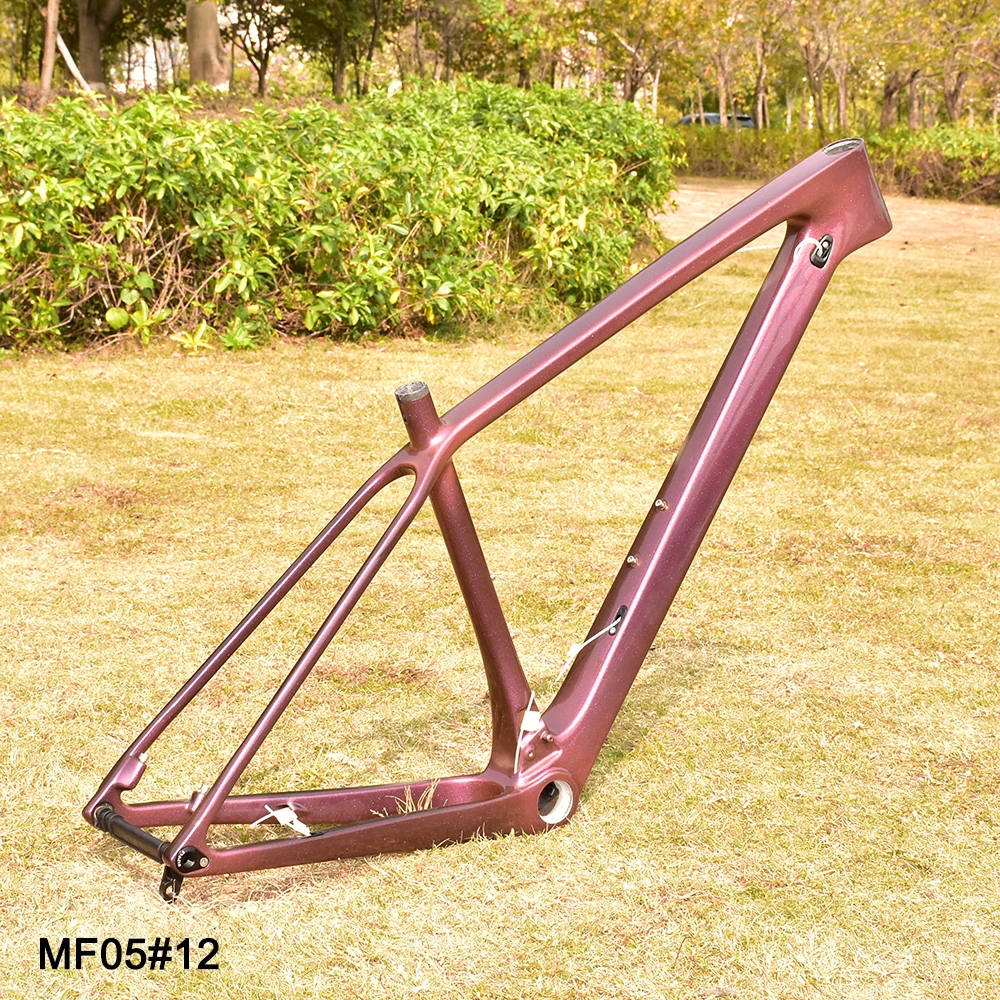 CECCOTTI 29er MTB Carbon Bike Frame Customized Chameleon Color Max Tire ...