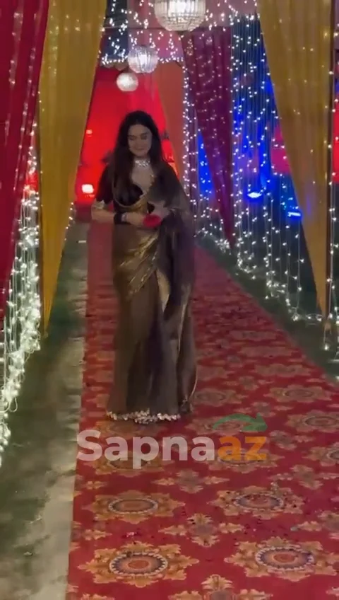 Premium Jimmy Chu Saree with Sequins Lace Border & Cutwork By Sapnaaz ...