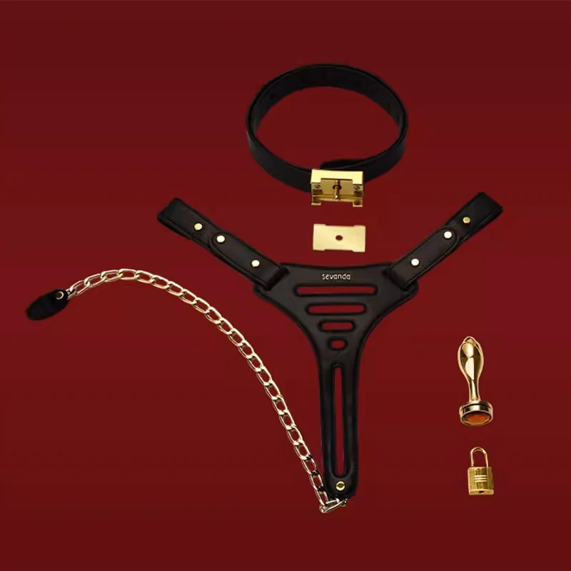 Lockink Chastity Belt for Women - Invisible Restraint Set, Genuine ...