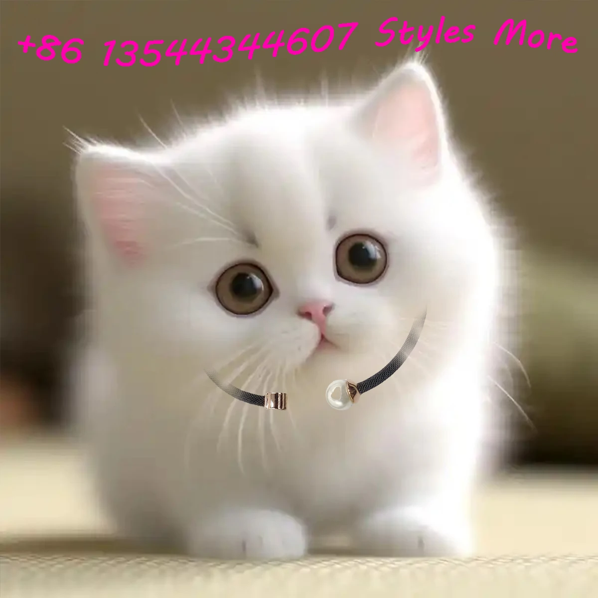 S0ae1533827c14f8099f0629242055409P.jpg