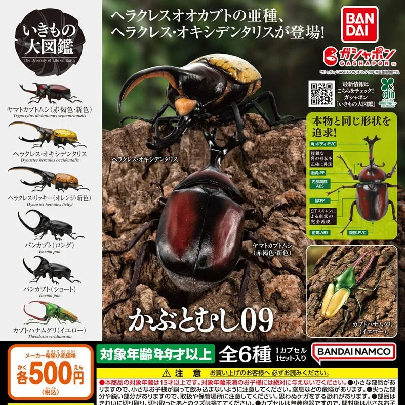 Bandai Genuine Biological Encyclopedia Gachapon Toys Beetle Series 09 ...