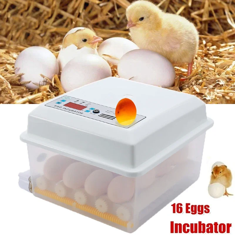 Automatic Intelligent Egg Incubator Farm 16 Egg Hatchery Machine ...