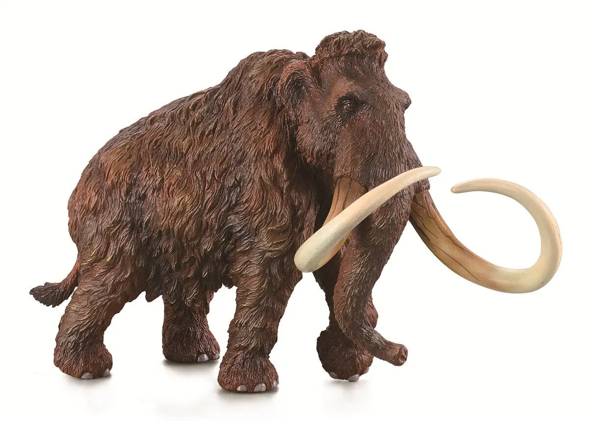 TNG-Mammonteus-Primigenius-Model-Animal-Mammuthus-Realistic-Prehistoric ...