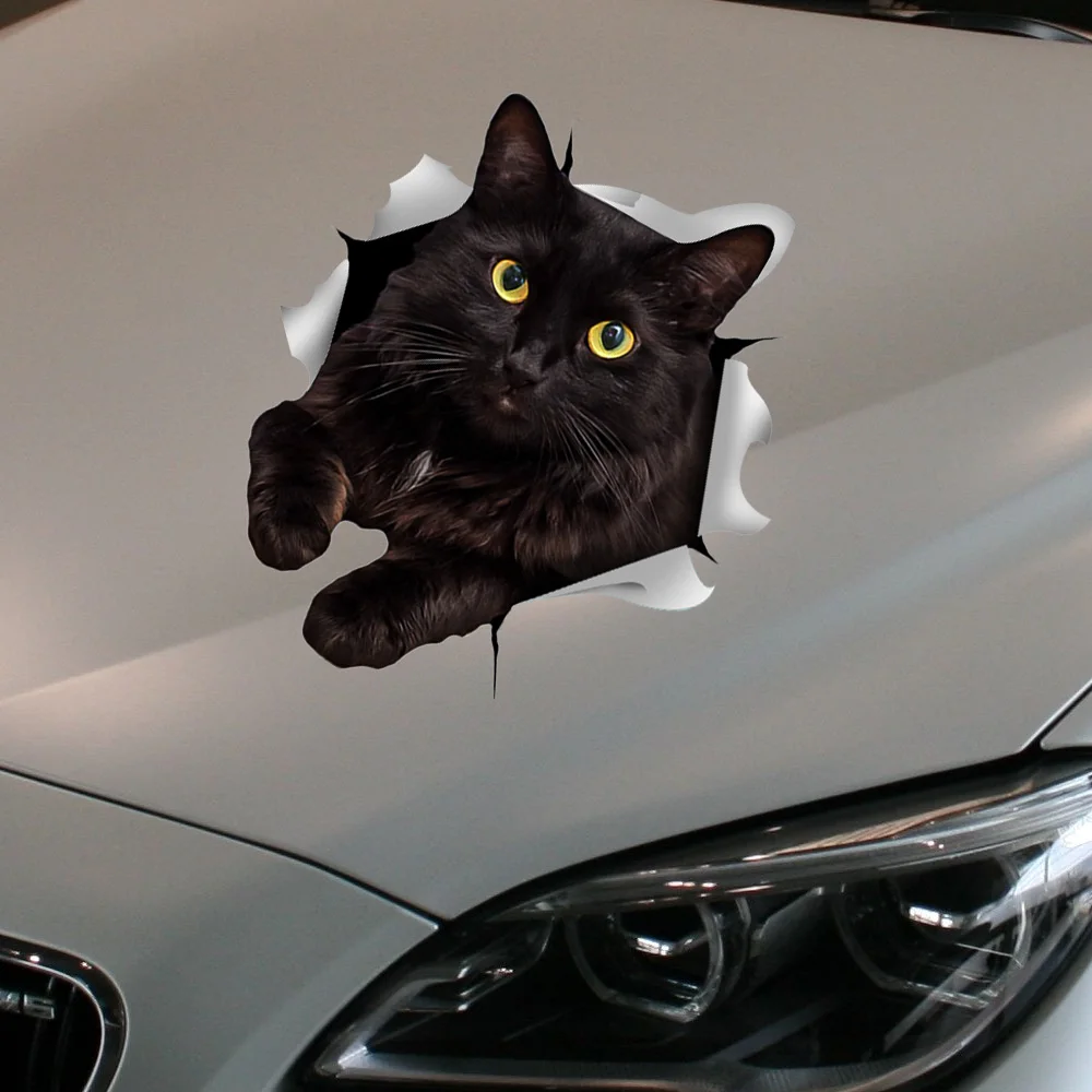 Black Ragdoll Cat Car Sticker - Gift Sign