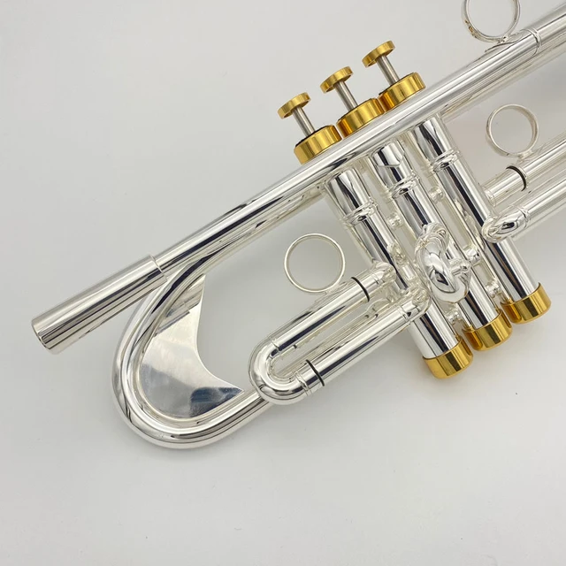 Silver And Gold Trumpet