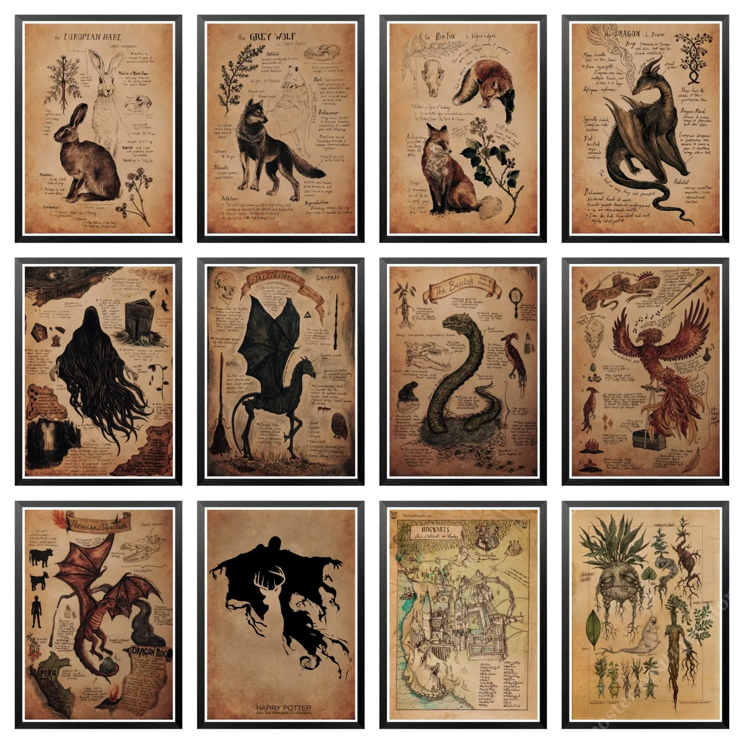 Peruvian Vipertooth Dragon