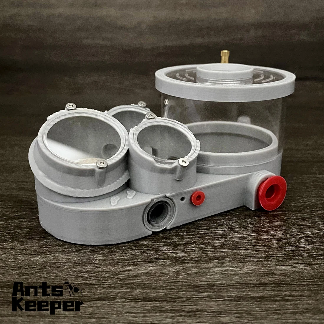 【Three Body】Ant Farm with Water Feeder Stone for New Queen Ants and ...