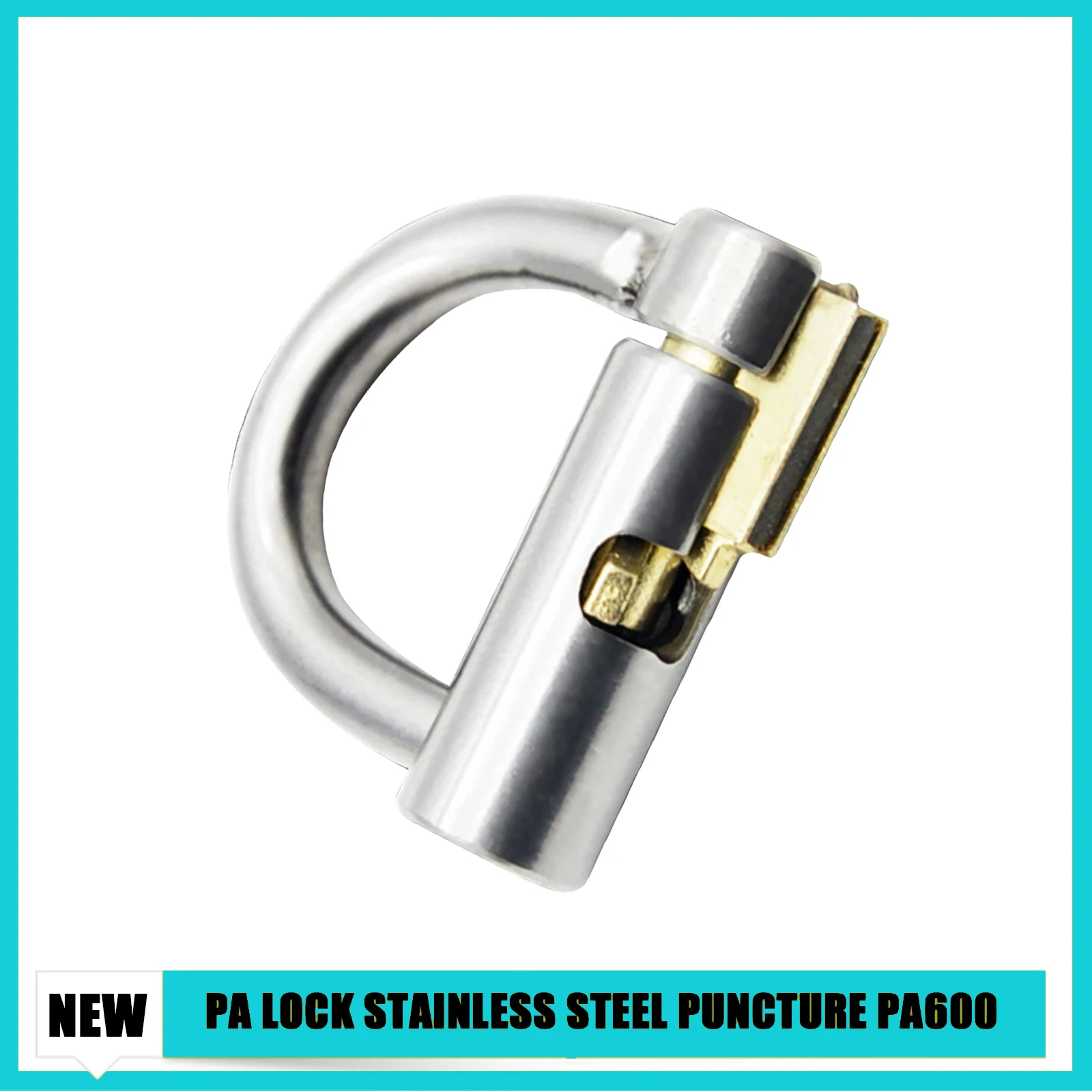 BDSM 3mm/5mm PA Lock Stainless Steel Puncture PA600/CB6000 Chastity ...