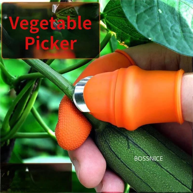 Farm-Vegetable-Fruit-Picker-Pickle-Pepper-Pickle-Tip-Picker-Iron-Nail ...