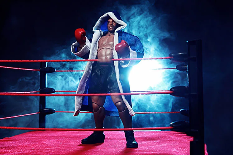 Professional Boxer Robe