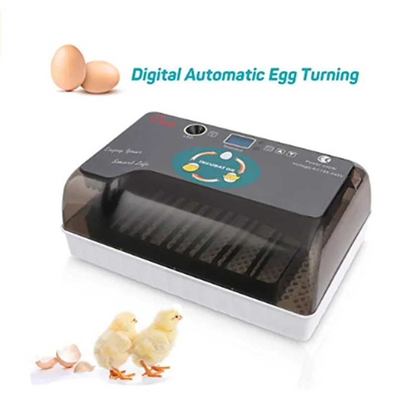 12-eggs-incubators-full-automatic-intelligent-incubator-for-chickens ...