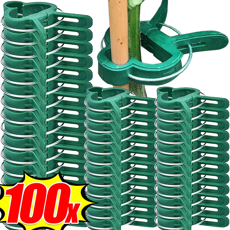 100/20pcs Plant Fixed Clips Garden Reusable Bracket For Flower Vine ...