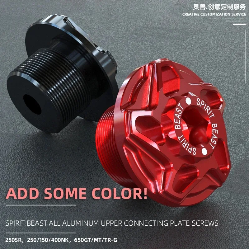 250SR-st-ba-lant-plakas-vida-modifikasyonu-i-in-uygun-150NK-n-atal-ba ...