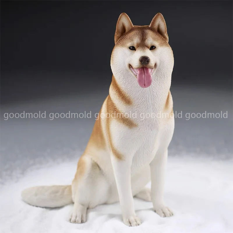 Are Siberian Huskies Good Therapy Dogs