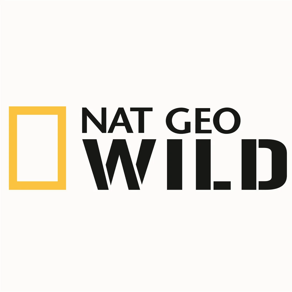 New-NAT-GEO-WILD-National-Geography-Car-Stickers-Rear-Window-Windshield ...