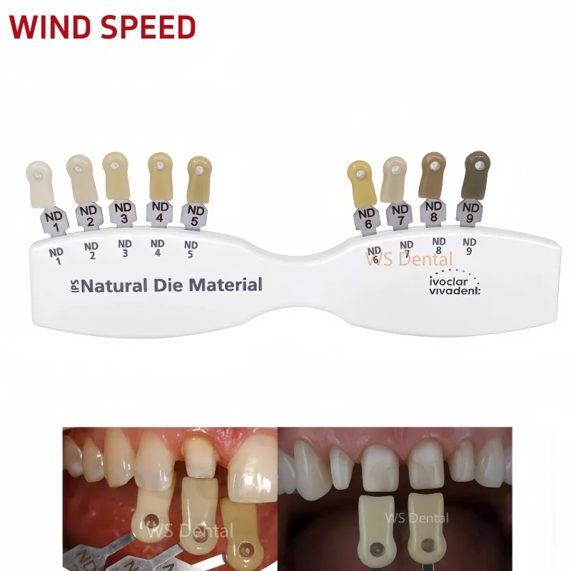 Dental IPS Natural Die Shade Guide Porcelain Material Color Chart ...