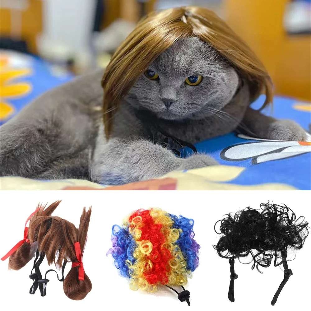 Accessories Cat Hat Cats Pet Products Pet Cat Head Wig Hair Accessories Cat Puppy Aliexpress