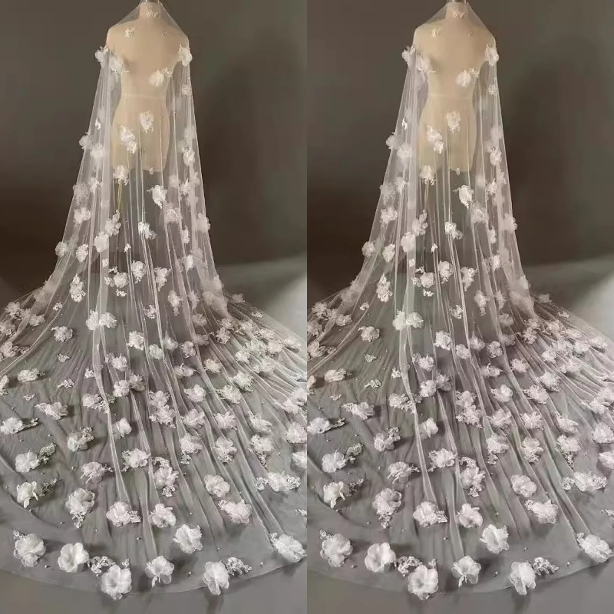3M Long Bridal Veil with 3D Appliques and Beaded Vintage Edge: A ...