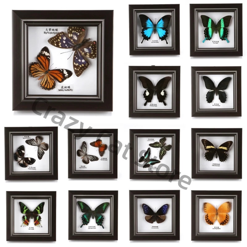 21 Kind Butterfly Photo Frame Insect Taxidermy Artwork Decoration ...
