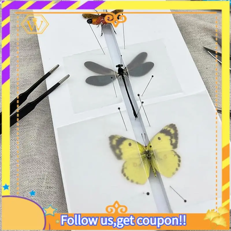 Complete Bug Collecting And Pinning Tools Set Insect Specimen ...