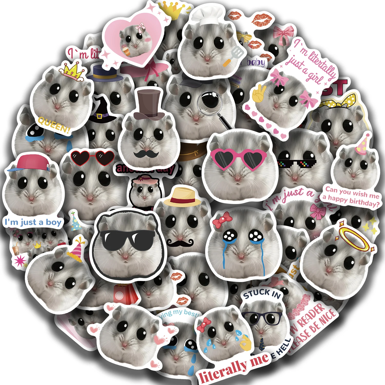 50pcs-Hamster-Meme-Stickers-Aesthetic-Phone-Notebook-Suitcase-Laptop ...