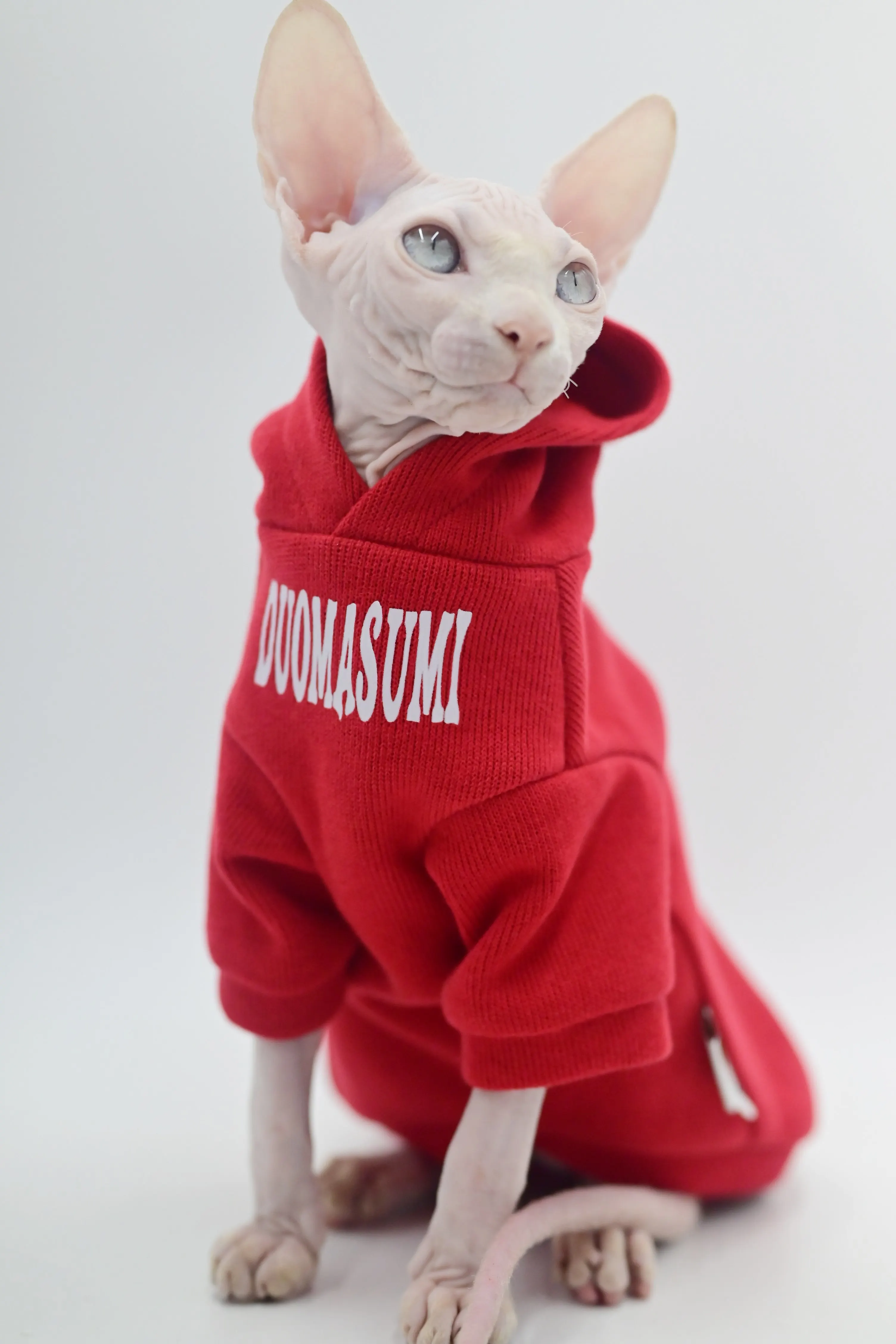 Stylish Hairless Cat Clothes Spring/Autumn Collection for Sphynx Cats ...
