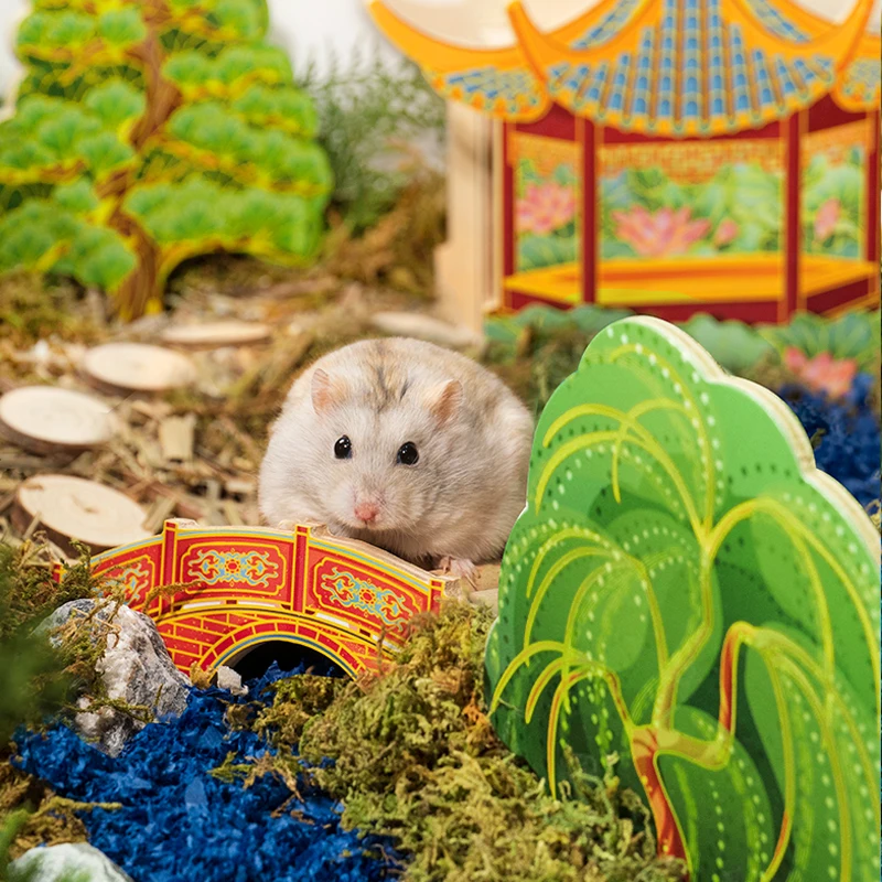 Chinese Dwarf Hamster Cage