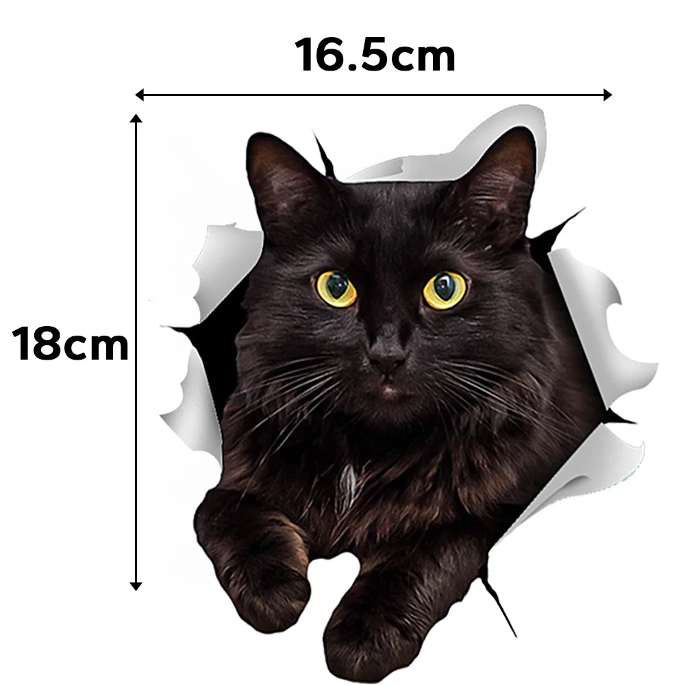 Black Ragdoll Cat Car Sticker - Gift Sign