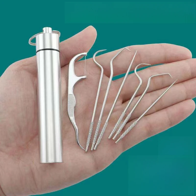 Stainless Steel Toothpick Set Tooth Flossing Reusable Toothpicks ...