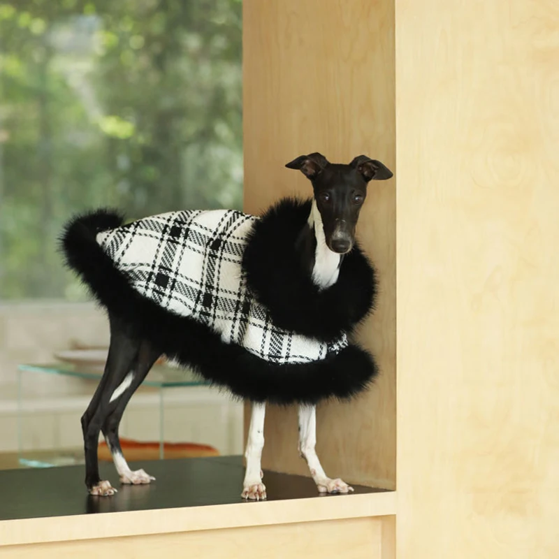 Fashion-Italian-Little-Lingti-Whitbit-British-Cloak-Small-Medium-Dog ...