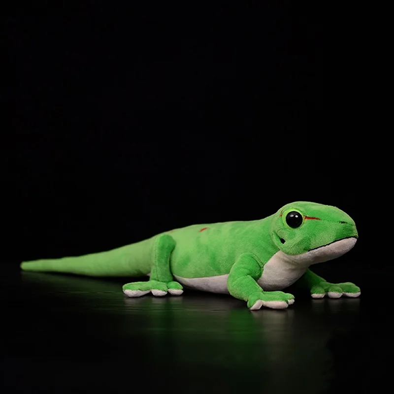 Cute Green Lizards