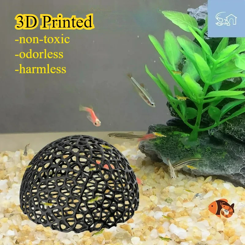 What is a Fish Structure and How to Choose the Best One for Your Aquarium?