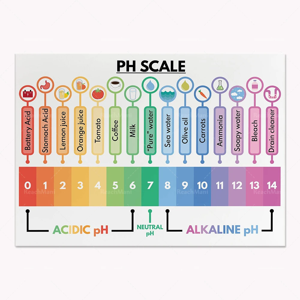 Ph Scale For Kids