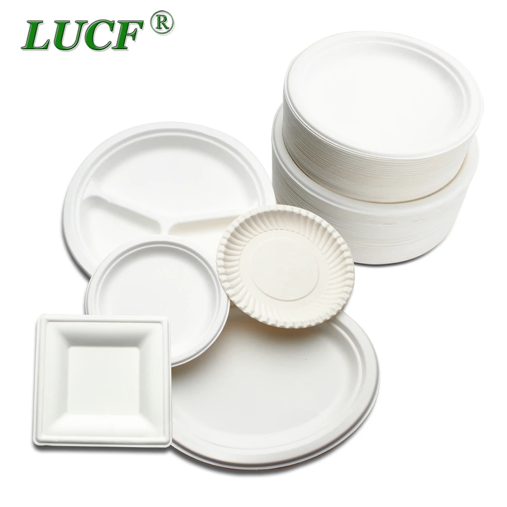 Biodegradable-Natural-Bagasse-Paper-Disposable-Plates-5-10-Inch-Eco ...