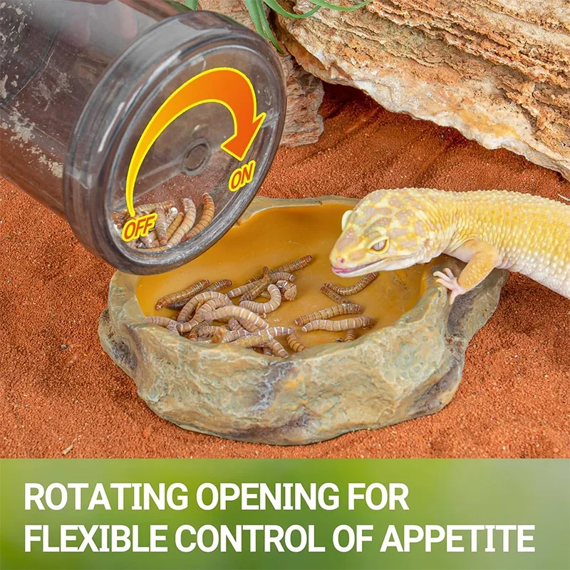 How to Feed Lizards Properly: The Ultimate Guide to Reptile Feeding ...