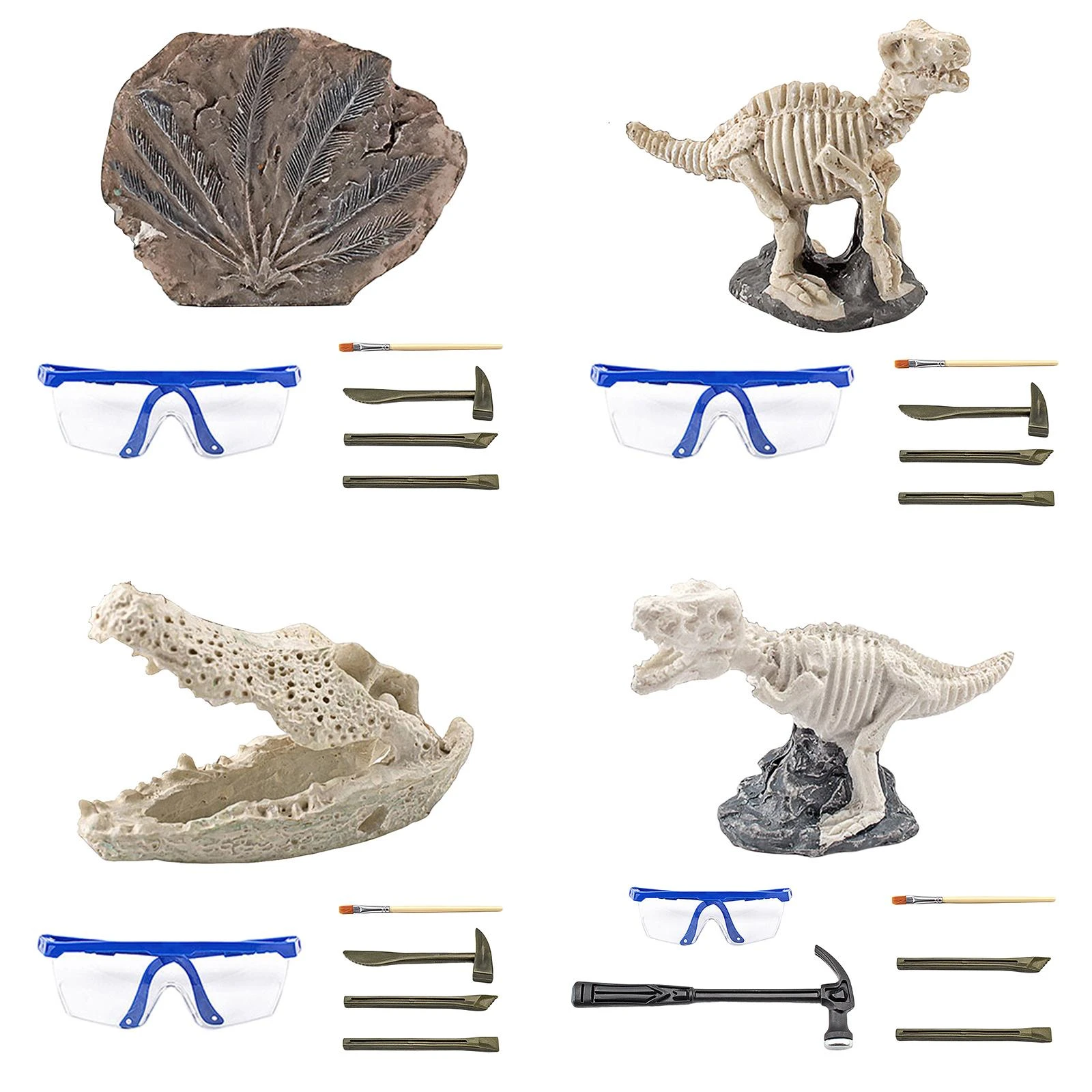 Animal Fossils For Kids